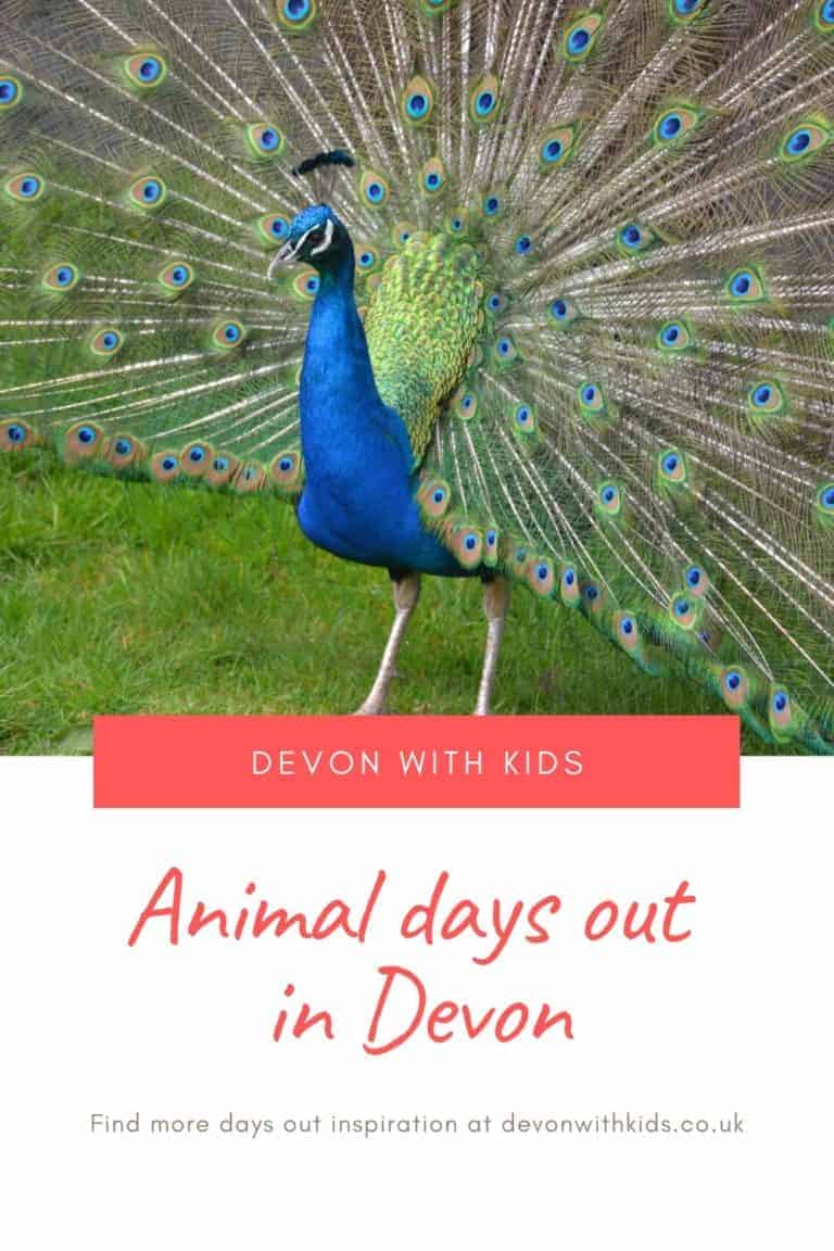 Brilliant Devon zoos and animal days out with kids - Devon with Kids