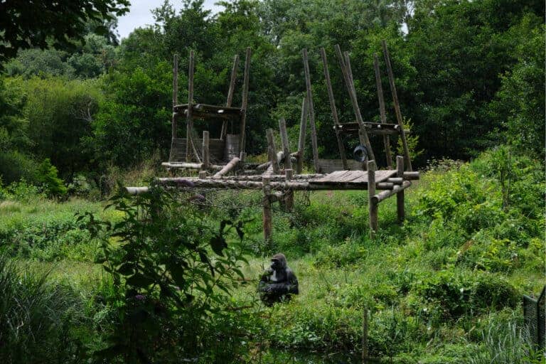 Paignton Zoo in South Devon - all you need to know - Devon with Kids