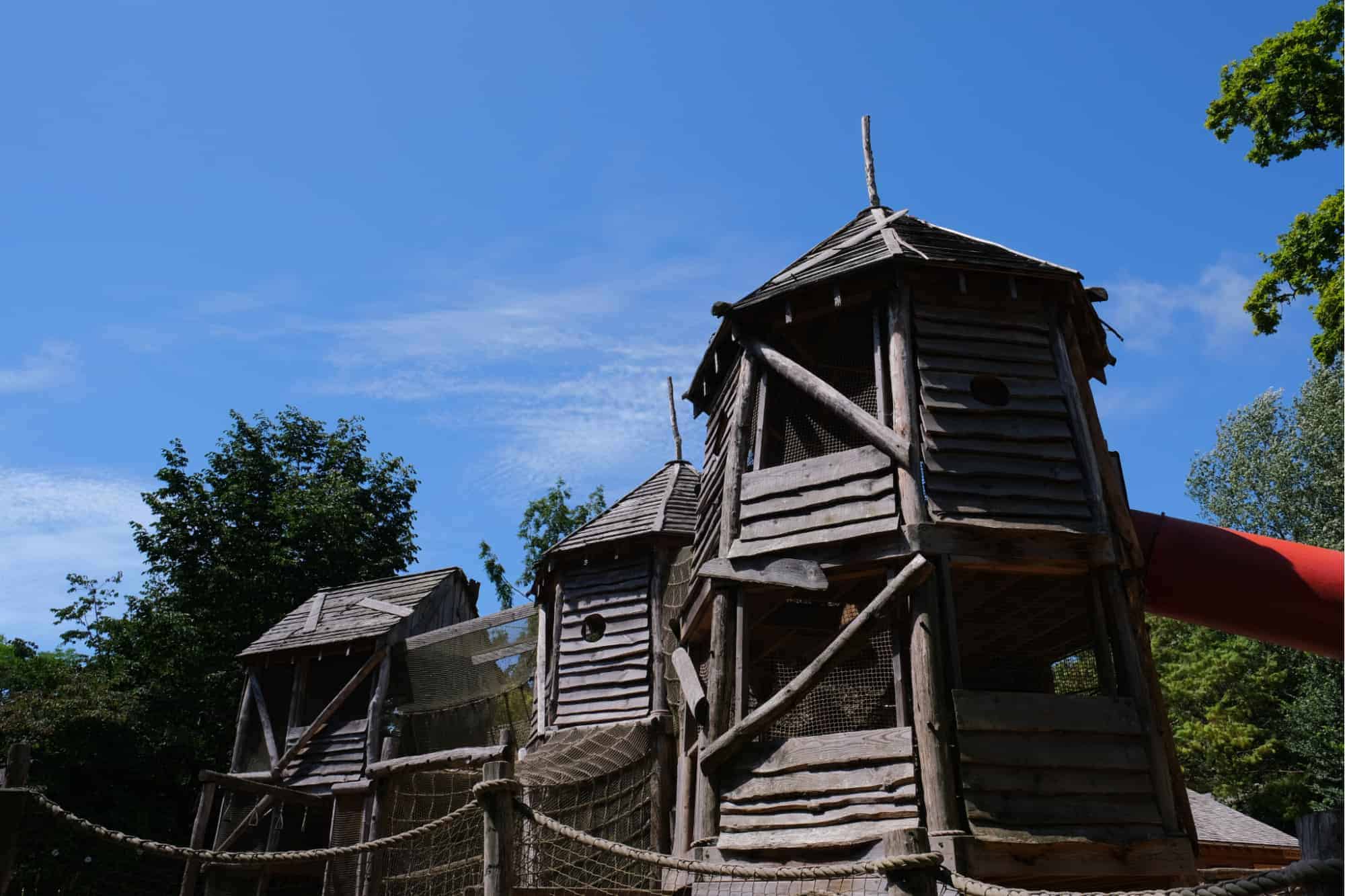 Paignton Zoo in South Devon - all you need to know - Devon with Kids