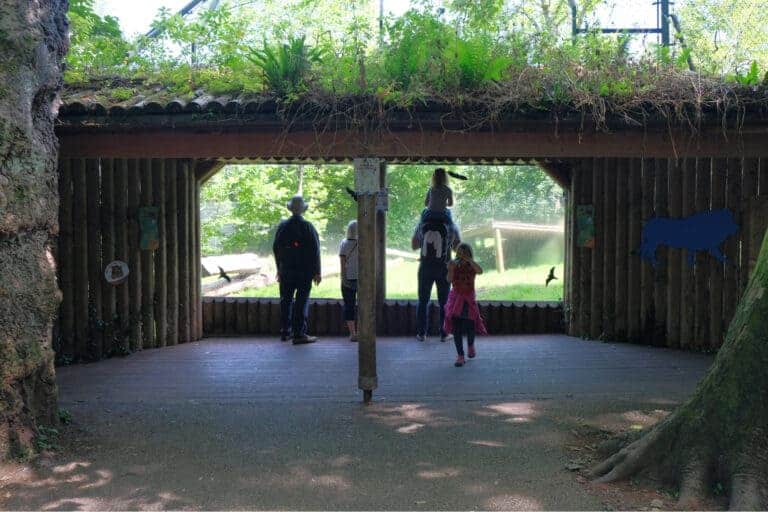Paignton Zoo in South Devon - all you need to know - Devon with Kids