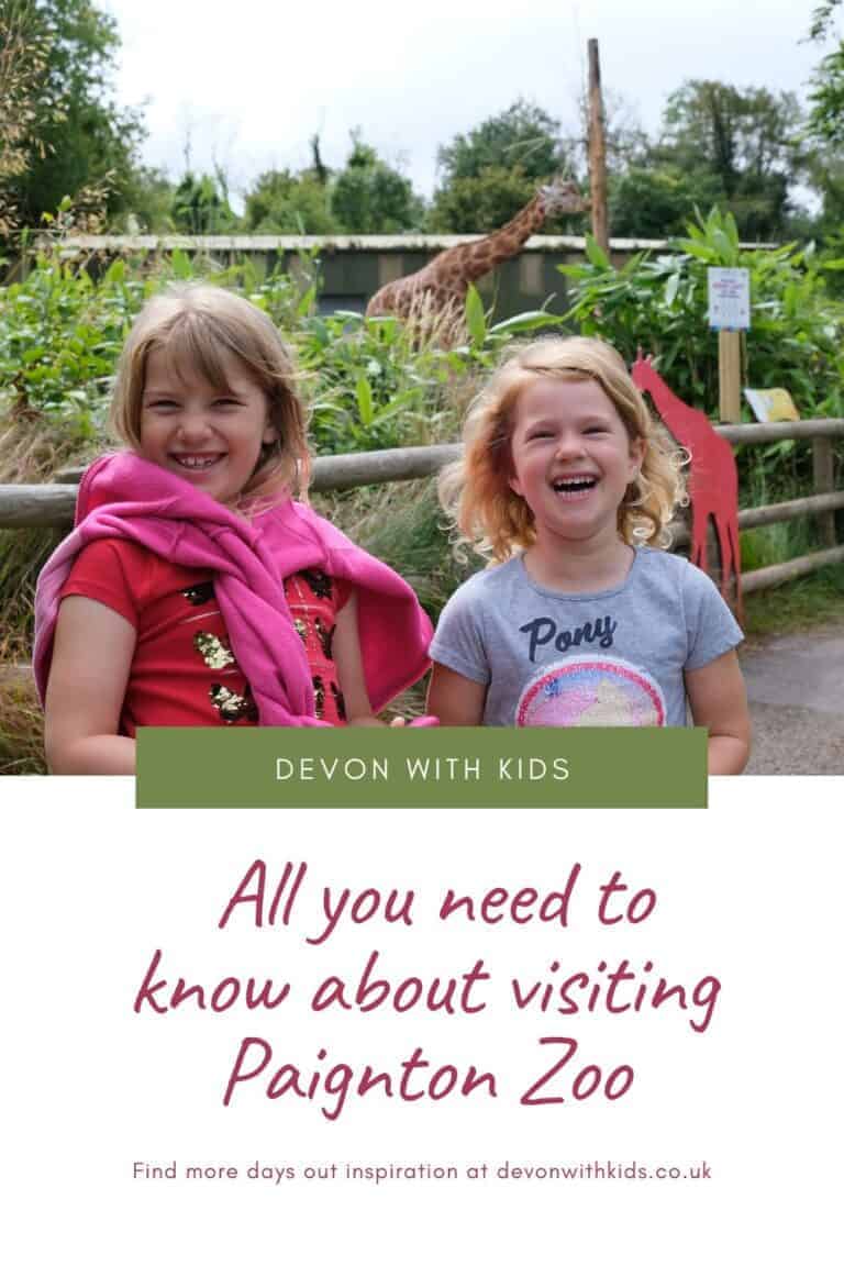 Paignton Zoo in South Devon - all you need to know - Devon with Kids