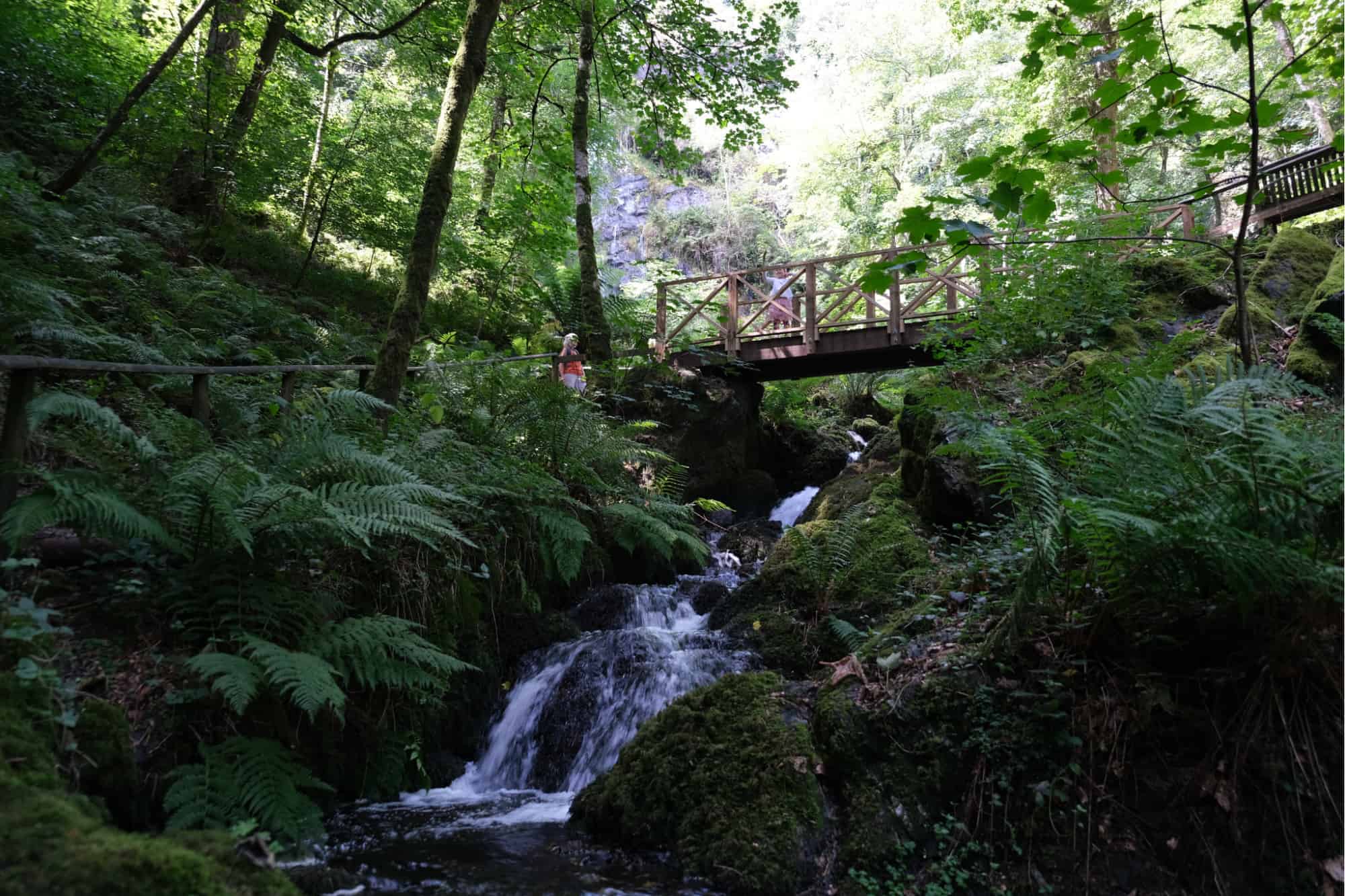 Canonteign Falls - a Devon waterfall walk - Devon with Kids