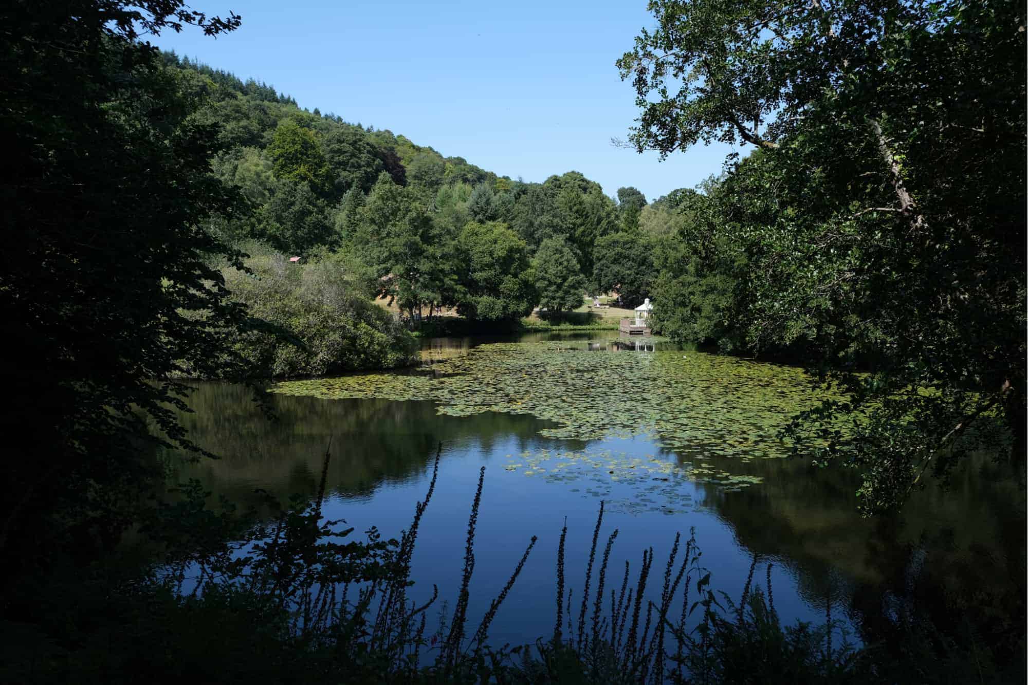 Canonteign Falls - a Devon waterfall walk - Devon with Kids
