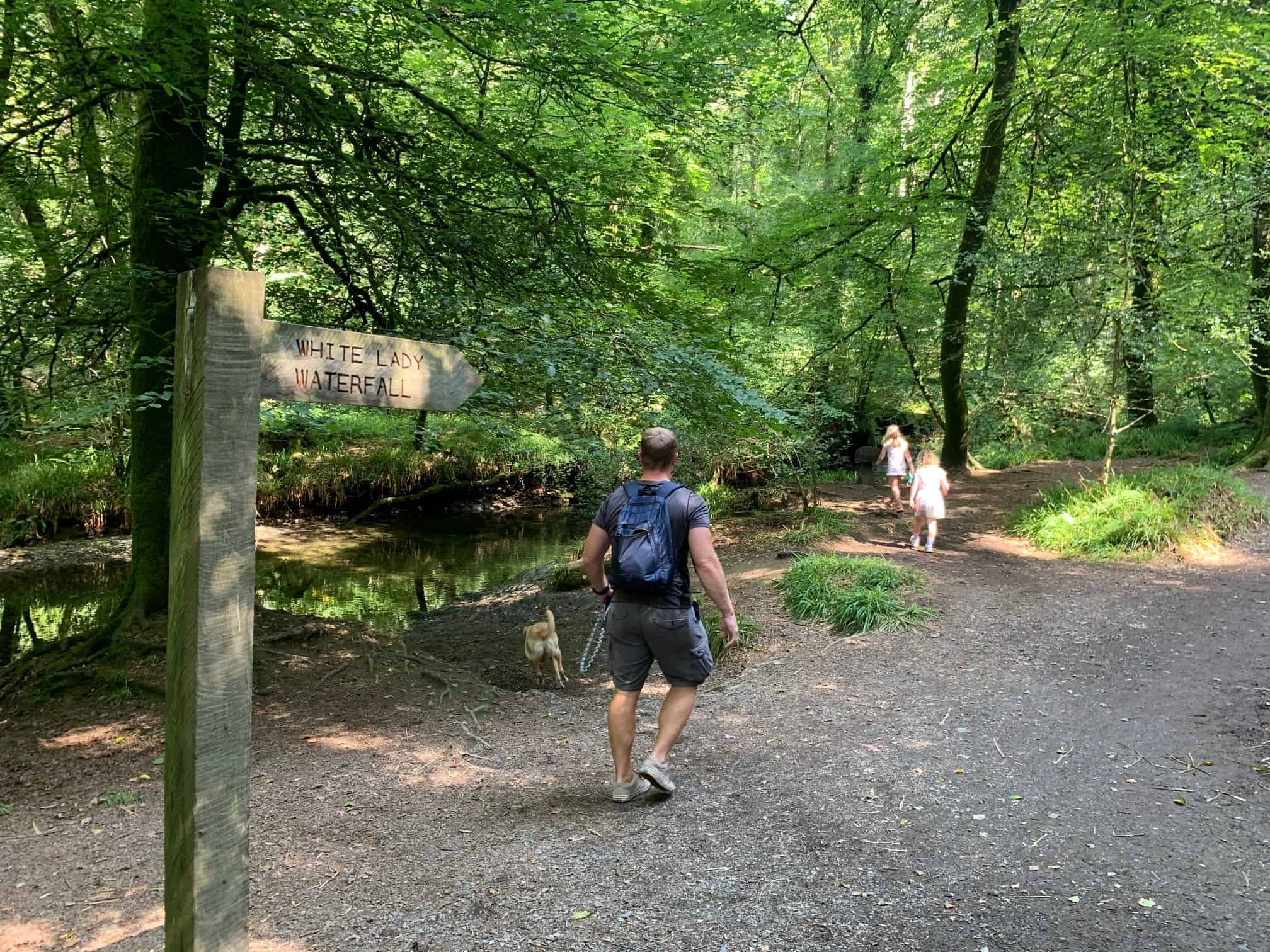Lydford Gorge walk with children - Devon with Kids