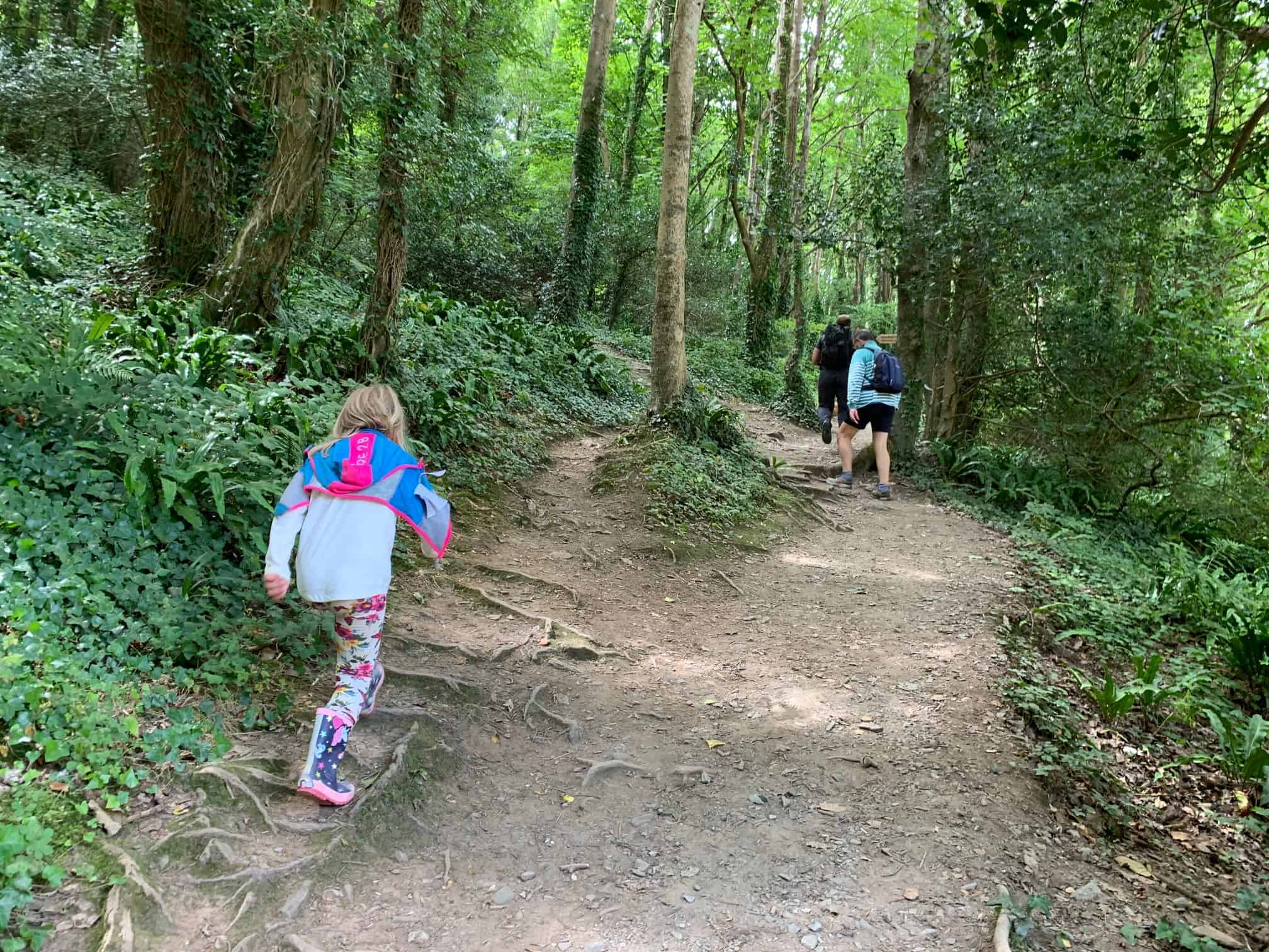 Gara Rock to Mill Bay circular walk in South Devon: 3 miles - Devon ...