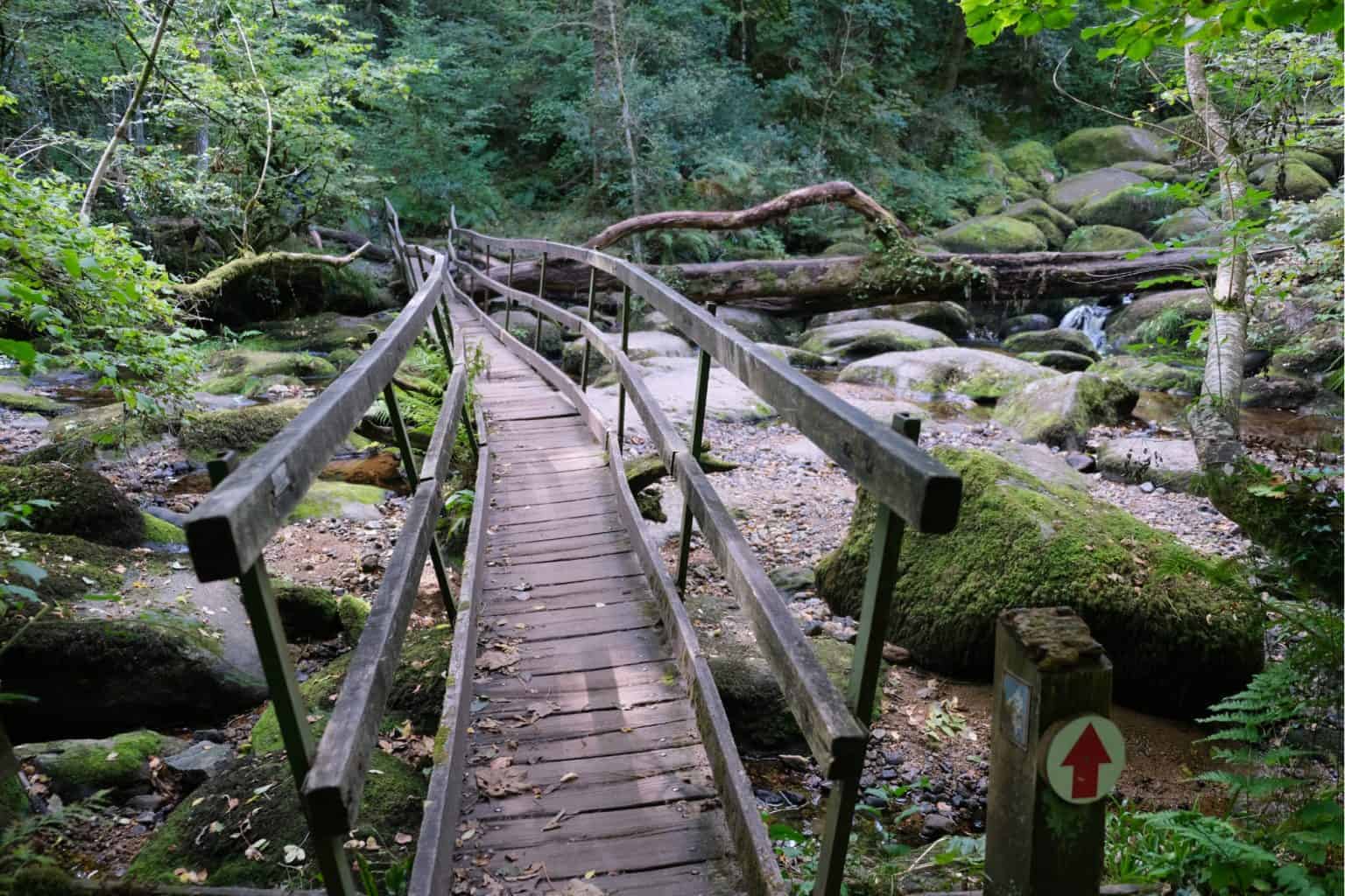 Visiting Becky Falls in Devon - Devon with Kids