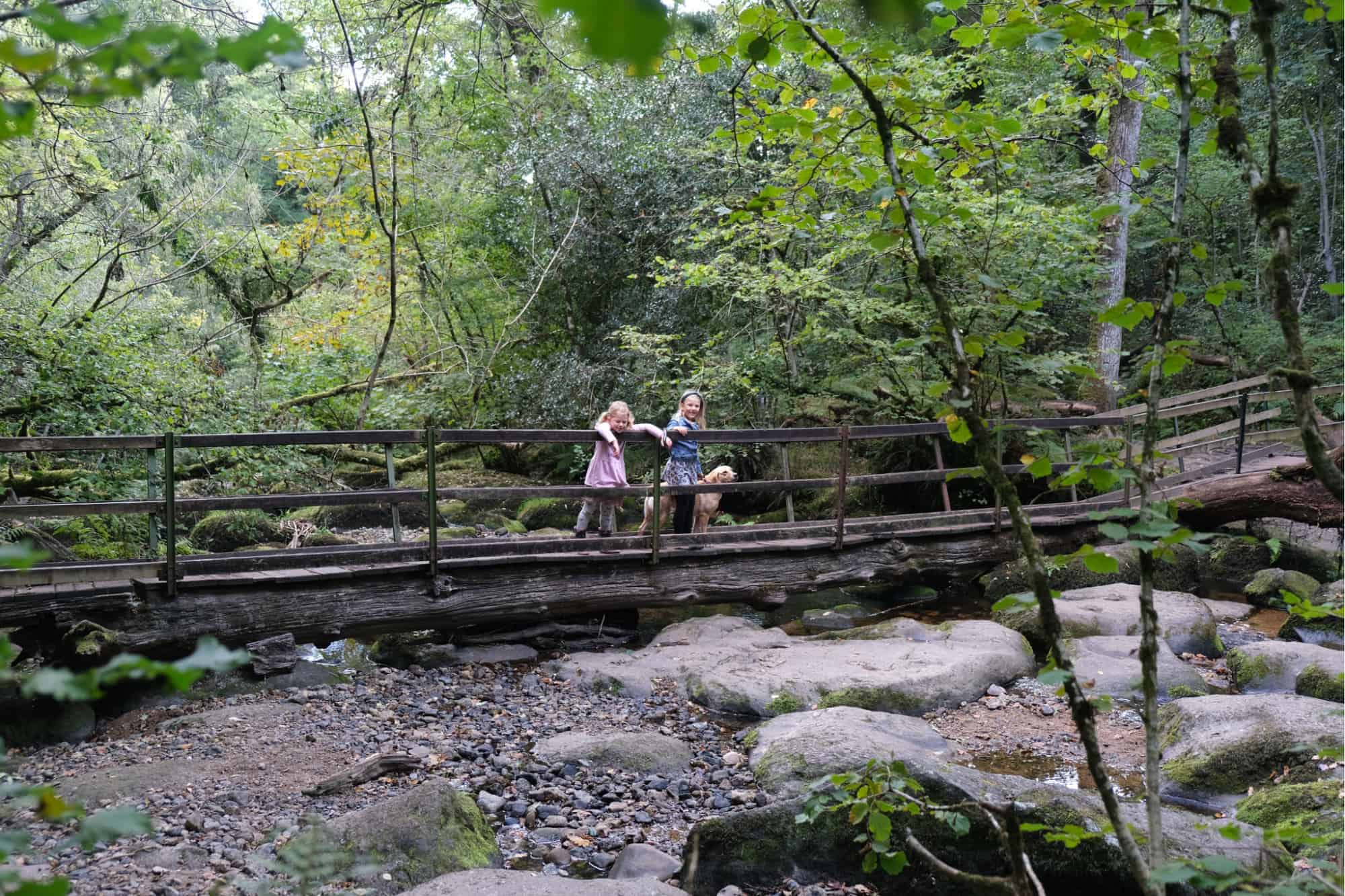 Visiting Becky Falls in Devon - Devon with Kids