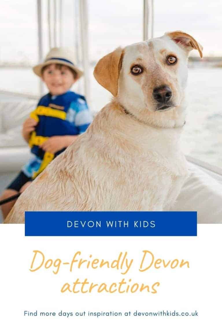40 family & dog-friendly attractions in Devon - Devon with Kids