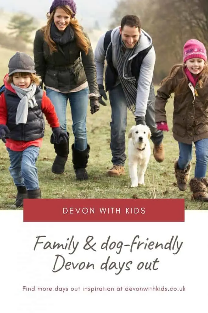 What Is There To Do In Devon With Dogs