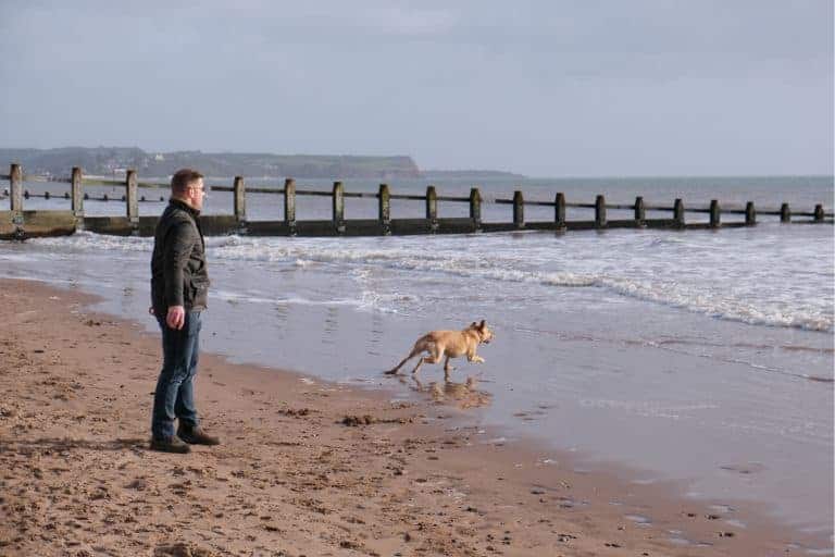 45 family & dog-friendly attractions in Devon - Devon with Kids