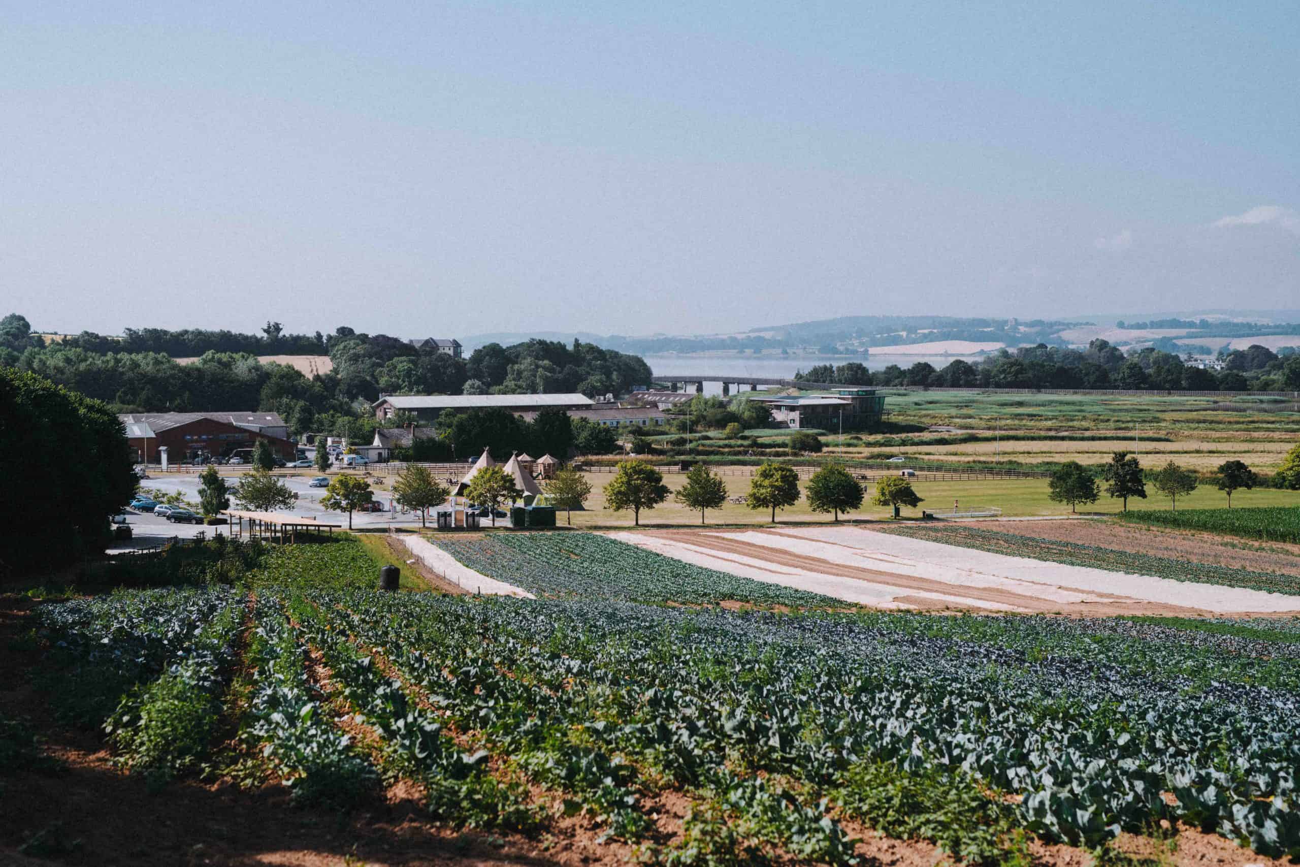 21 family-friendly farm shops in Devon - Devon with Kids