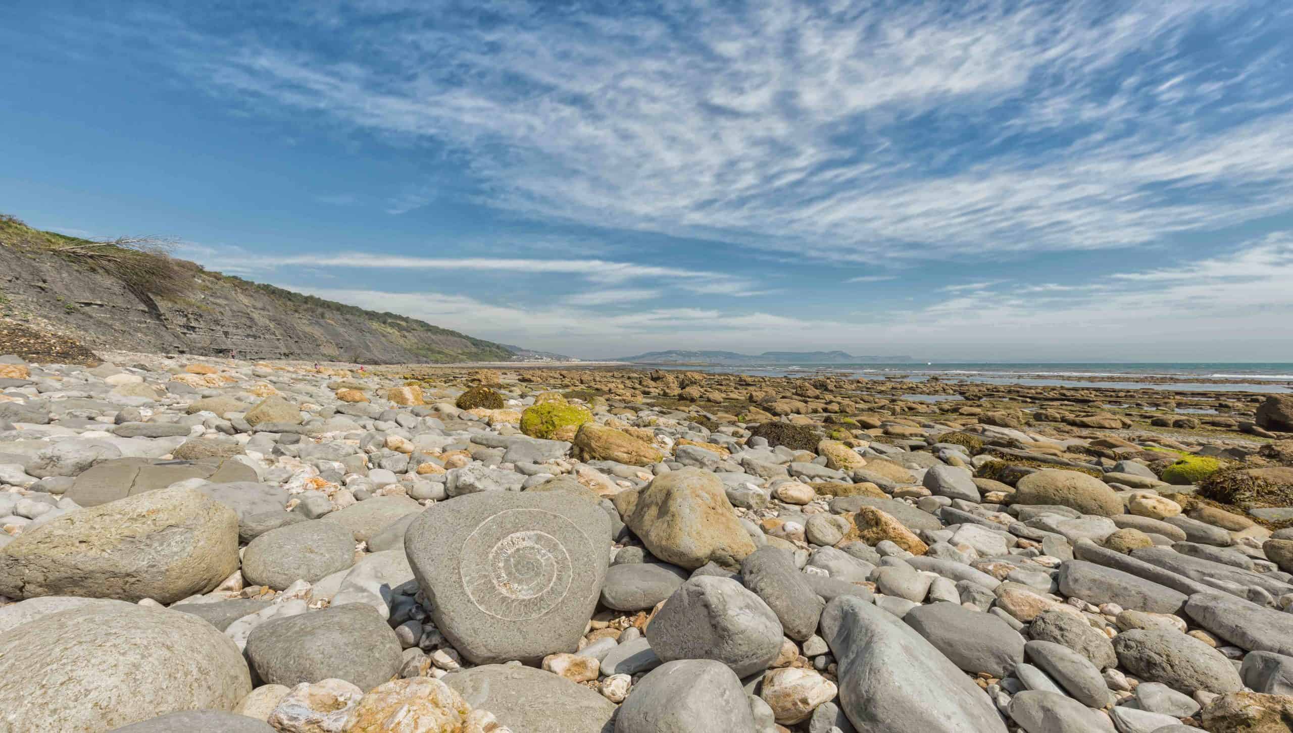 22 things to do in Exmouth with kids - Devon with Kids