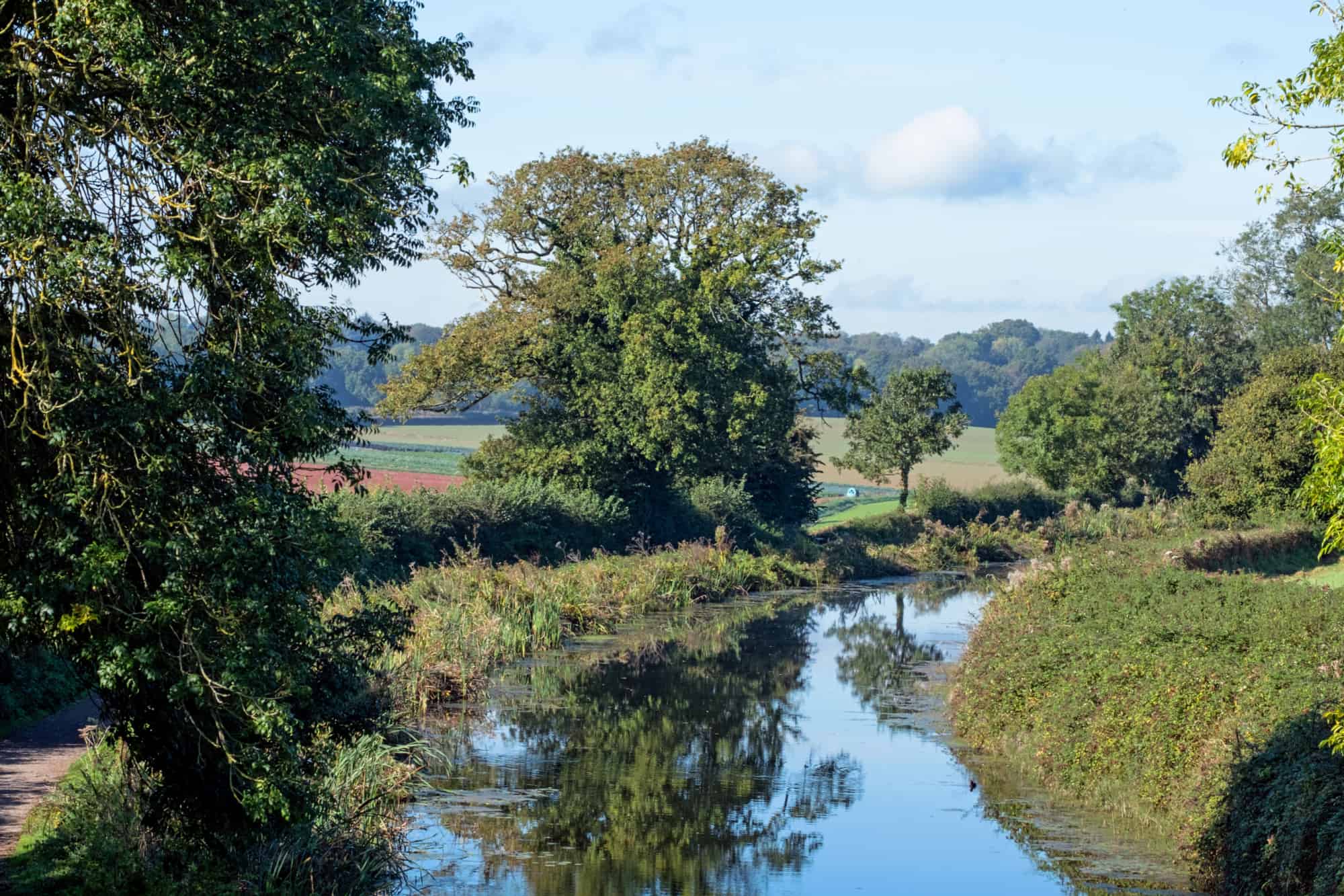 17 things to do in Mid Devon for families - Devon with Kids