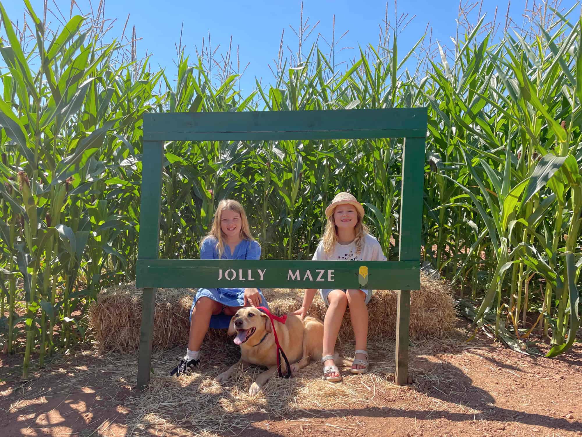 Where to find mazes in Devon 2022 - Devon with Kids