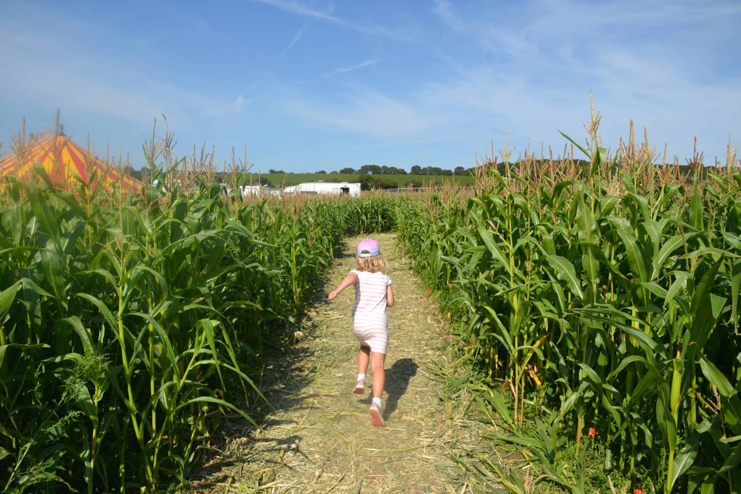 Where to find mazes in Devon 2025 - Devon with Kids