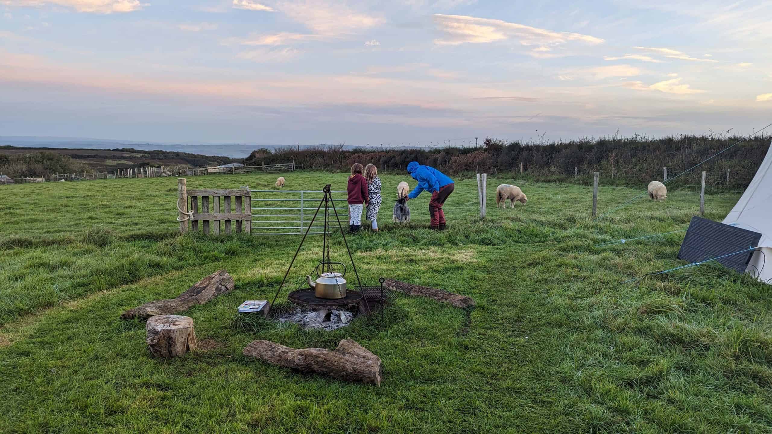 Meadow Barn Farm review: an off-grid family-friendly glamping break in ...