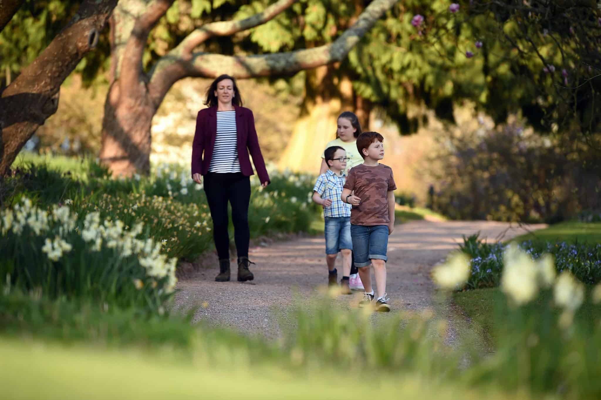 14 brilliant Devon National Trust places for families - Devon with Kids