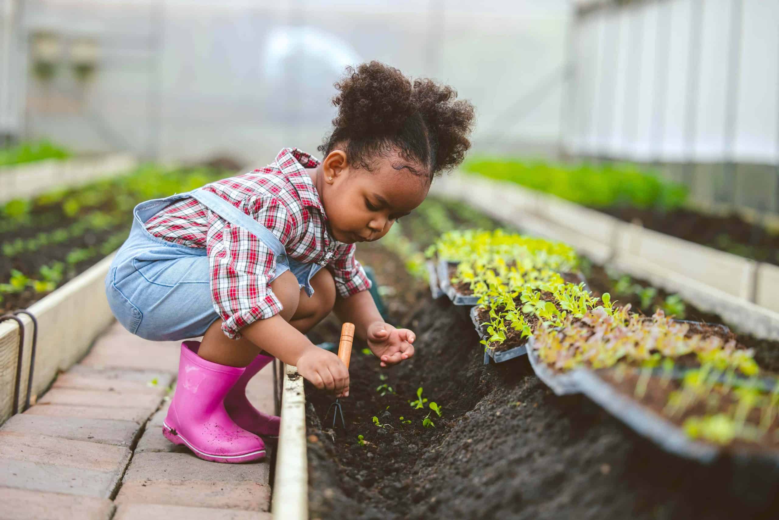 How to start a garden nursery for families and children? - Devon with Kids
